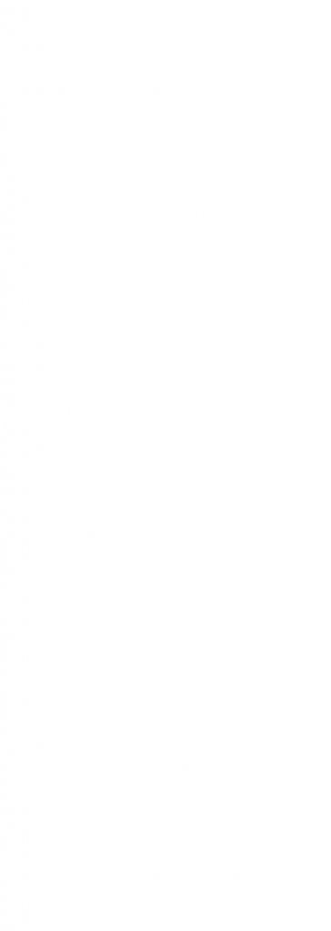 Unternehmen – AVIAM